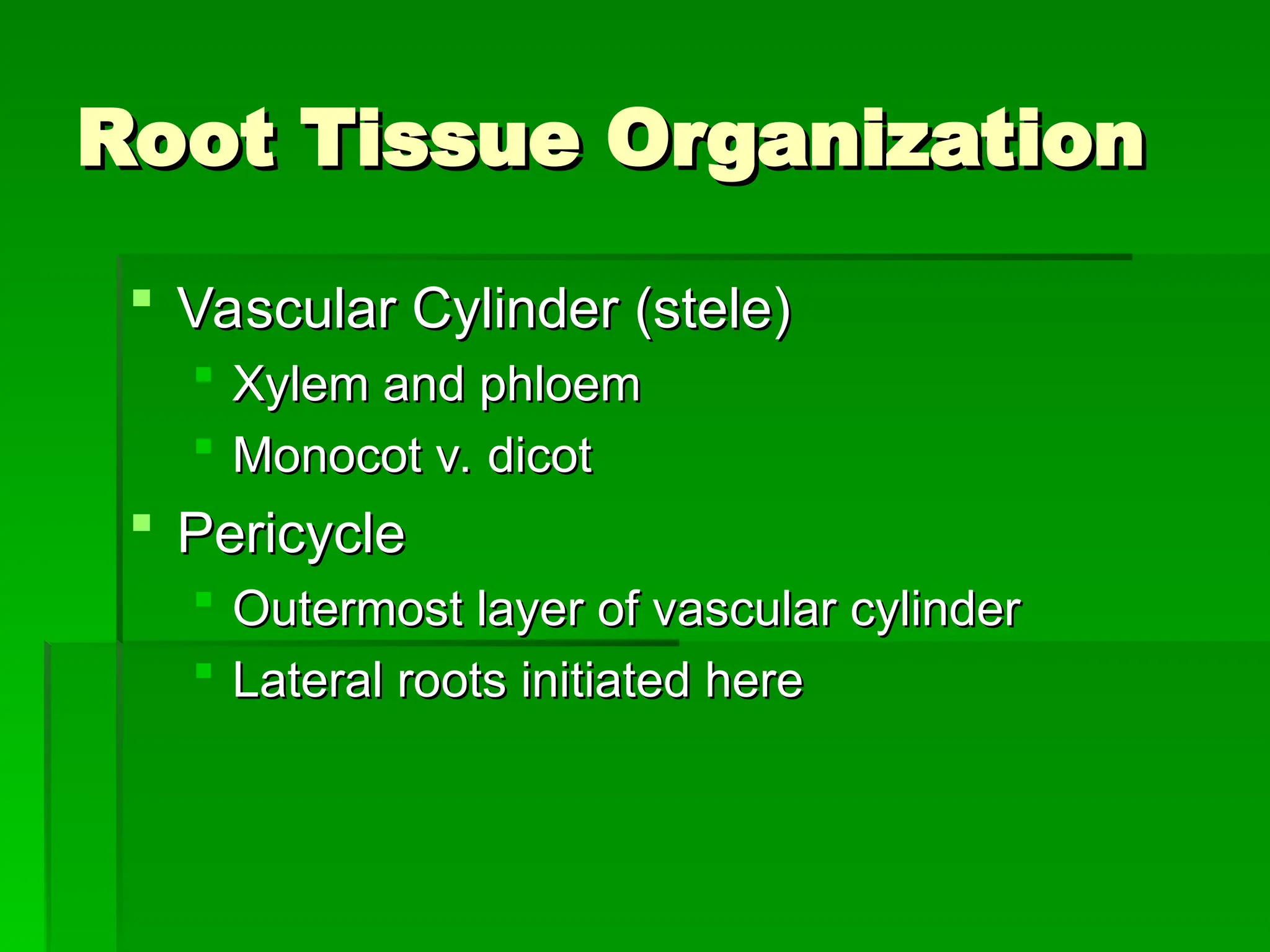 ANATOMI TUMBUHAN di Indonesia raya12.ppt