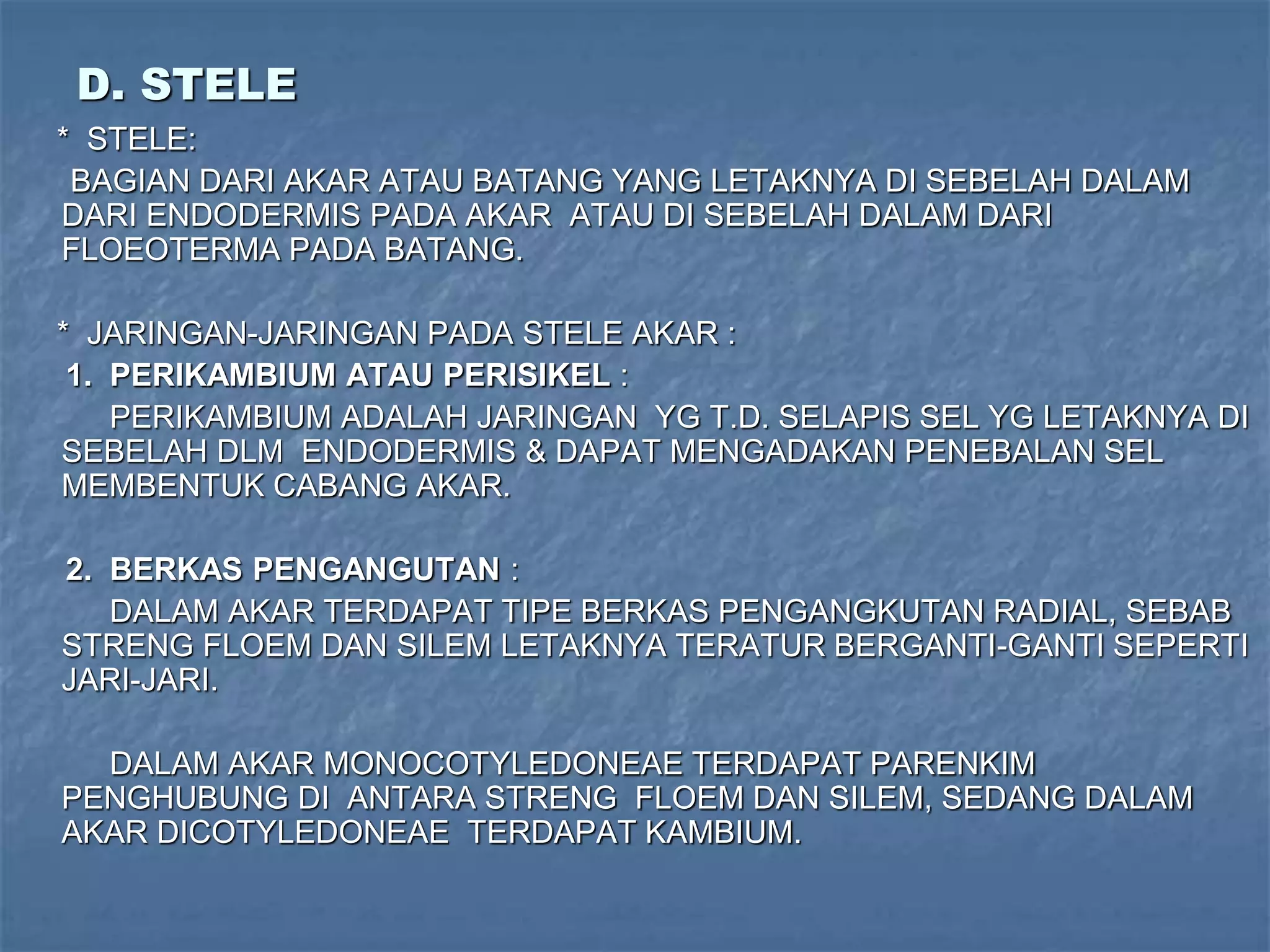 Anatomi Tumbuhan : Akar | PPTX