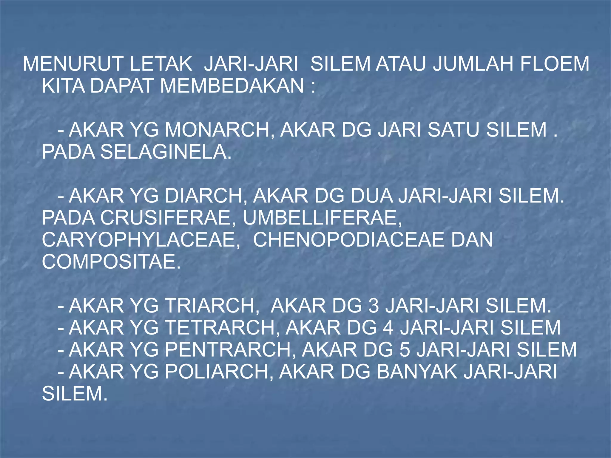 Anatomi Tumbuhan : Akar | PPTX