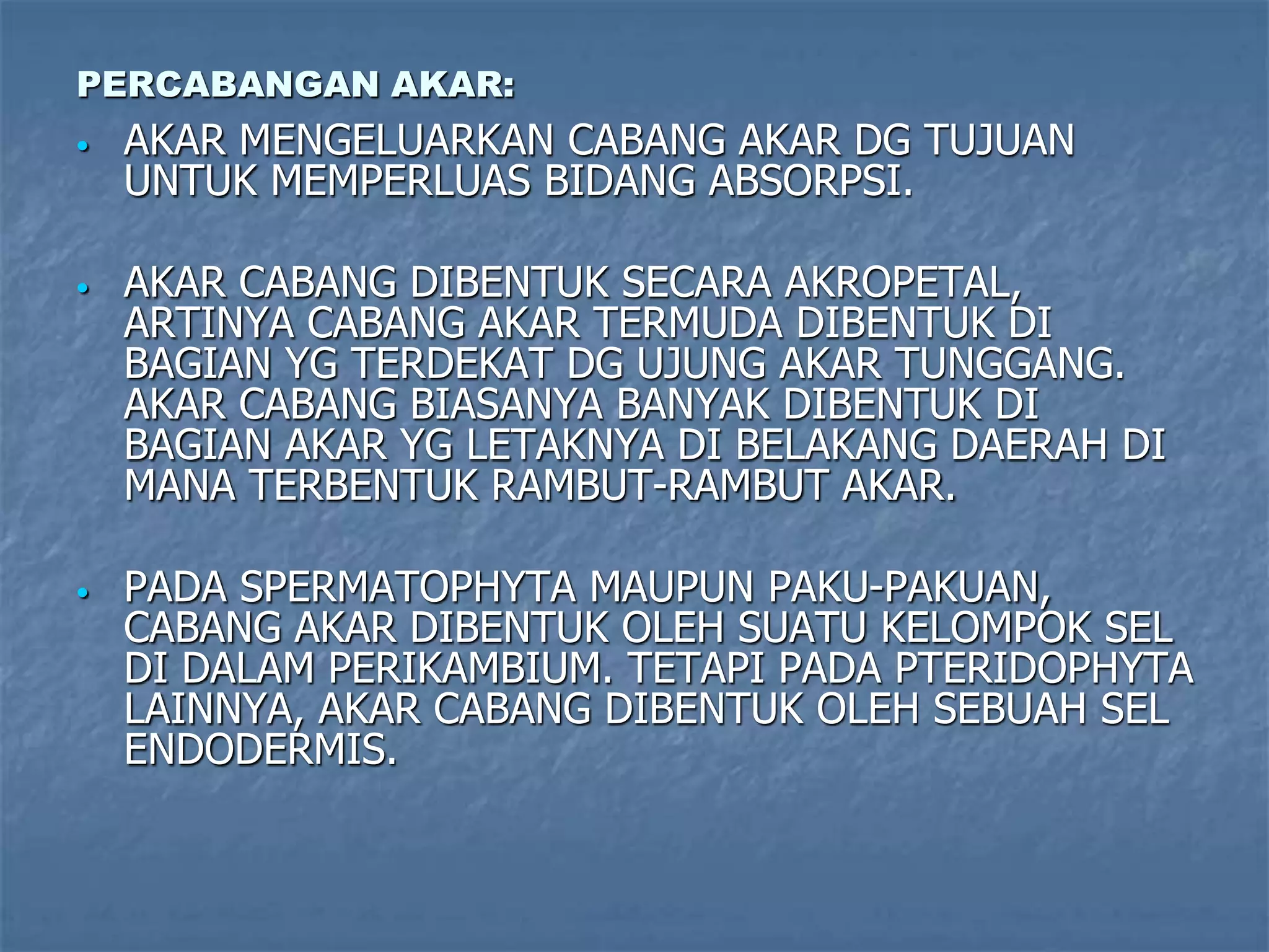 Anatomi Tumbuhan : Akar | PPTX