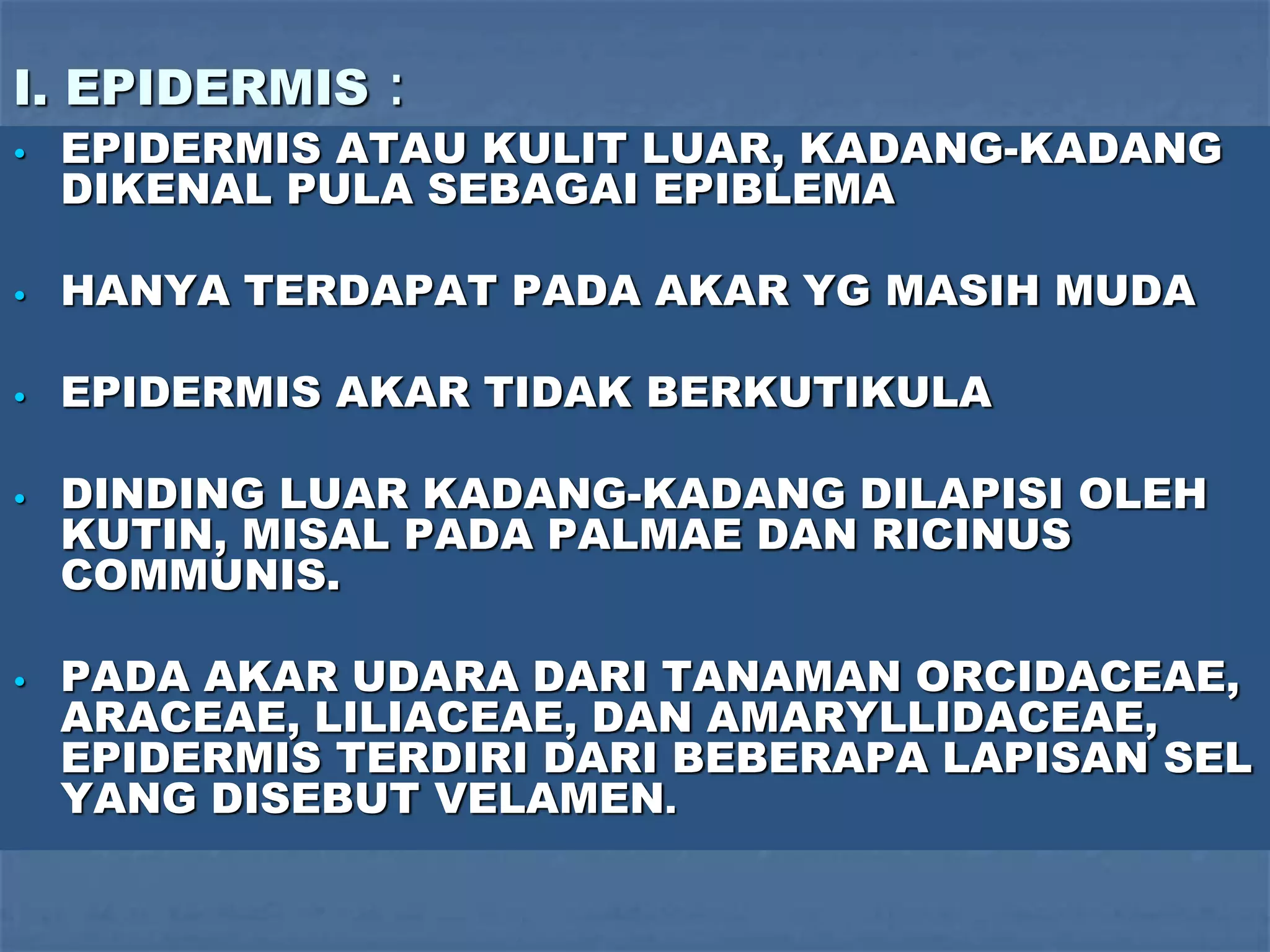 Anatomi Tumbuhan : Akar | PPTX