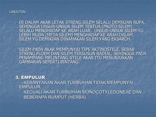 Anatomi Tumbuhan : Akar | PPTX