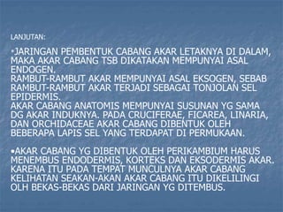 Anatomi Tumbuhan : Akar | PPTX