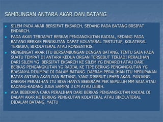 Anatomi Tumbuhan : Akar | PPTX