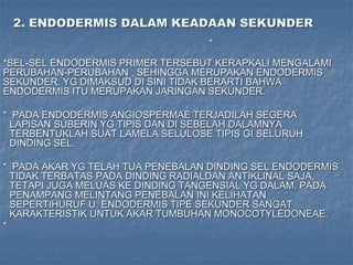 Anatomi Tumbuhan : Akar | PPTX