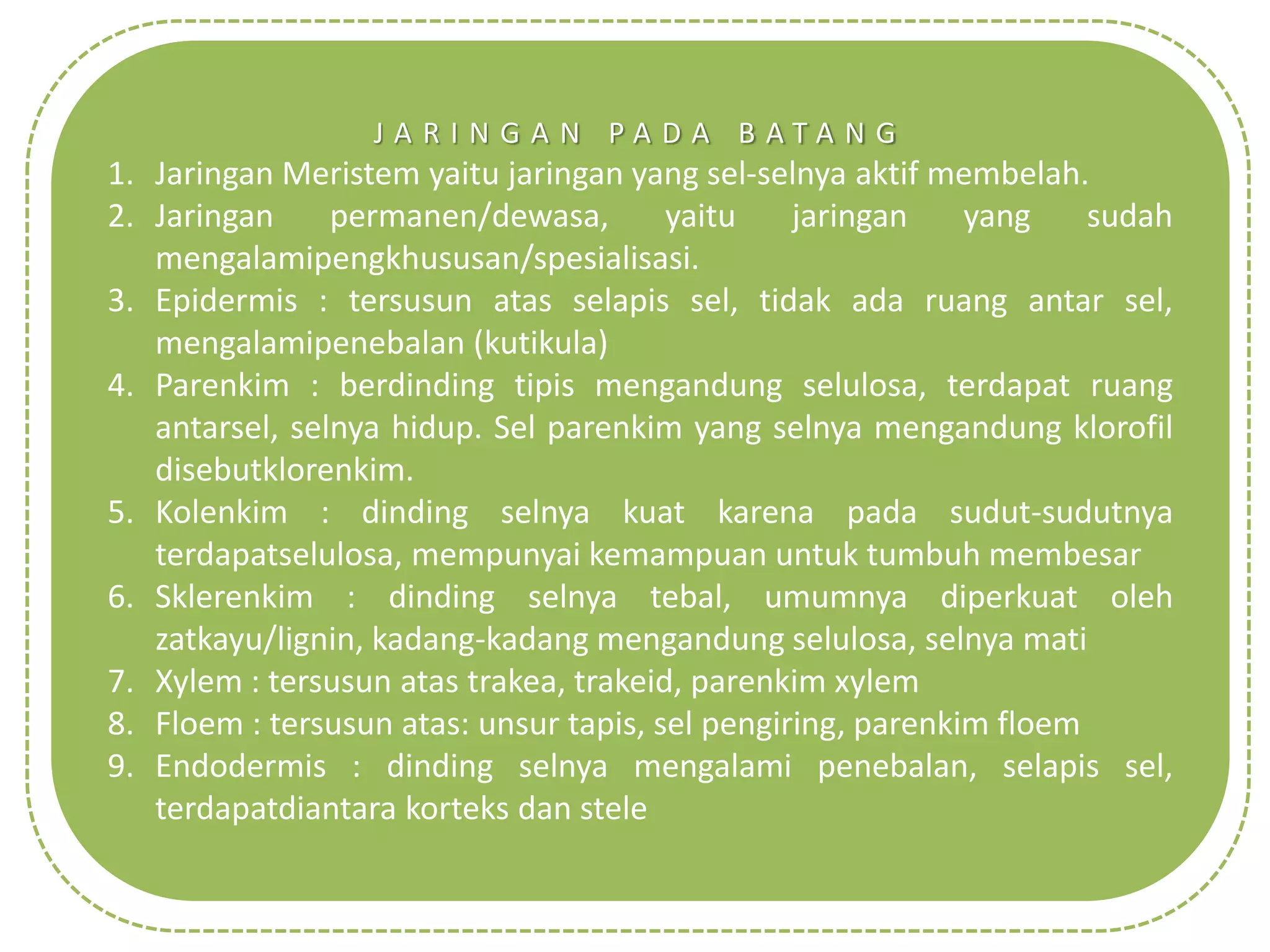 Anatomi Tumbuhan (batang) | PPTX