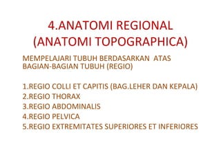 Anatomi umum | PPT