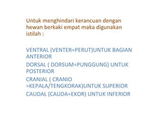 Anatomi umum | PPT