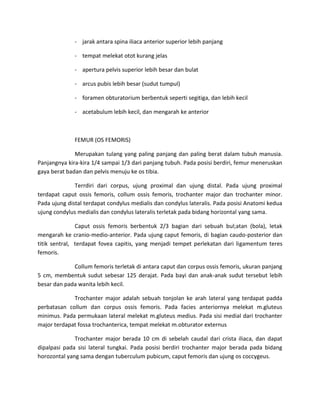 Anatomi umum | DOCX