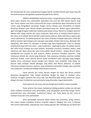 Anatomi umum | DOCX