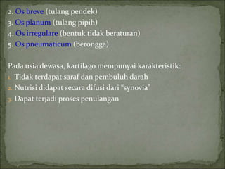ANATOMI TUBUH MANUSIA DARI SEMUA SISTEM A | PPT