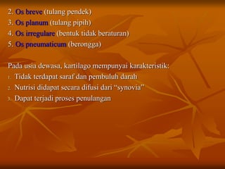 ANATOMI+UMUM+(INTRODUCTION)_0.ppt