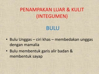 ANATOMI UNGGAS 01kjhkjhkjhkhkhkjhlkjlkjlkjkjhkjhkljhkjhk | PPT