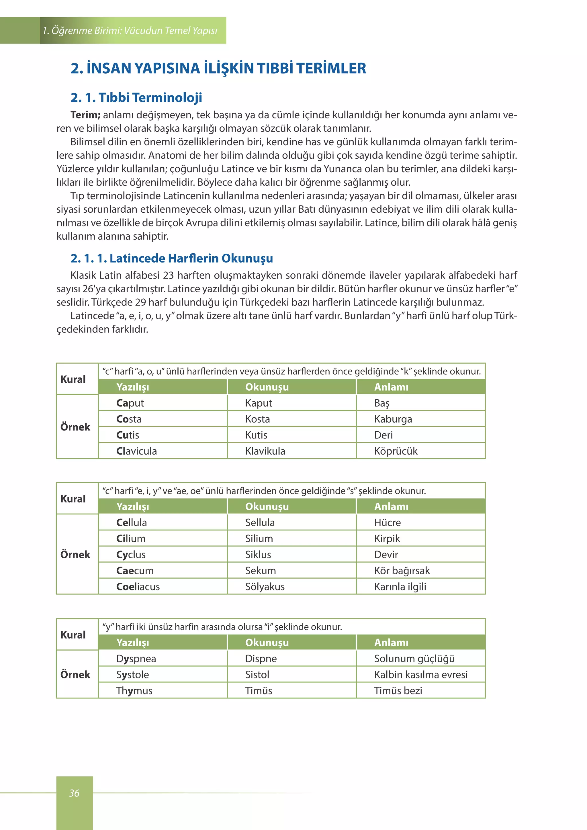 9.sınıf anatomi ve fizyoloji kitabı | PDF