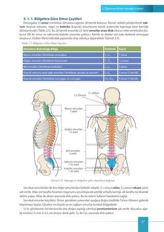 9.sınıf anatomi ve fizyoloji kitabı | PDF