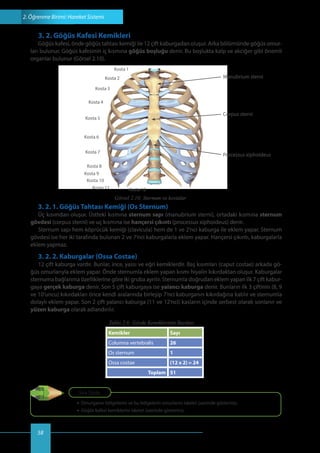 9.sınıf anatomi ve fizyoloji kitabı | PDF