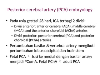 Anatomi Vertebrobasiler dan Posterior Cerebral Artery - Fajar.pptx