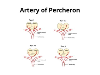 Anatomi Vertebrobasiler dan Posterior Cerebral Artery - Fajar.pptx