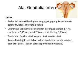 Anatomi wanita | PPT