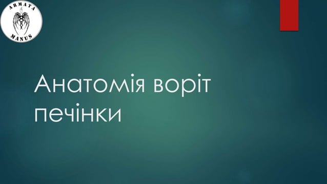 Anatomy of liver hilum | PPTX