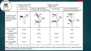 Anatomy of liver hilum | PPTX