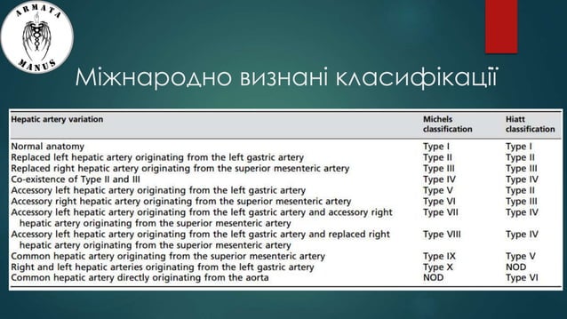 Anatomy of liver hilum | PPTX