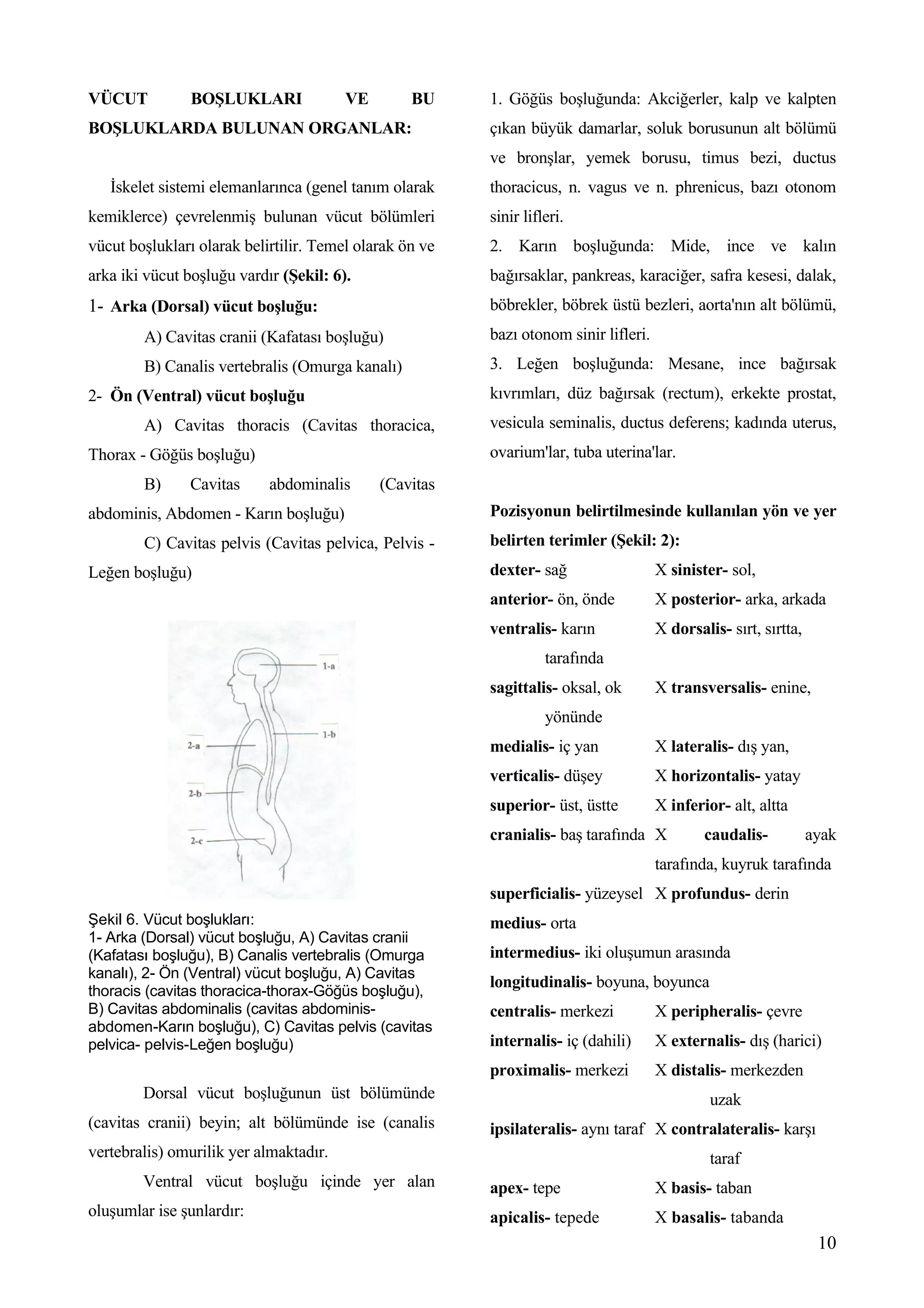 Anatomiye giris ve temel kavramlar | DOC