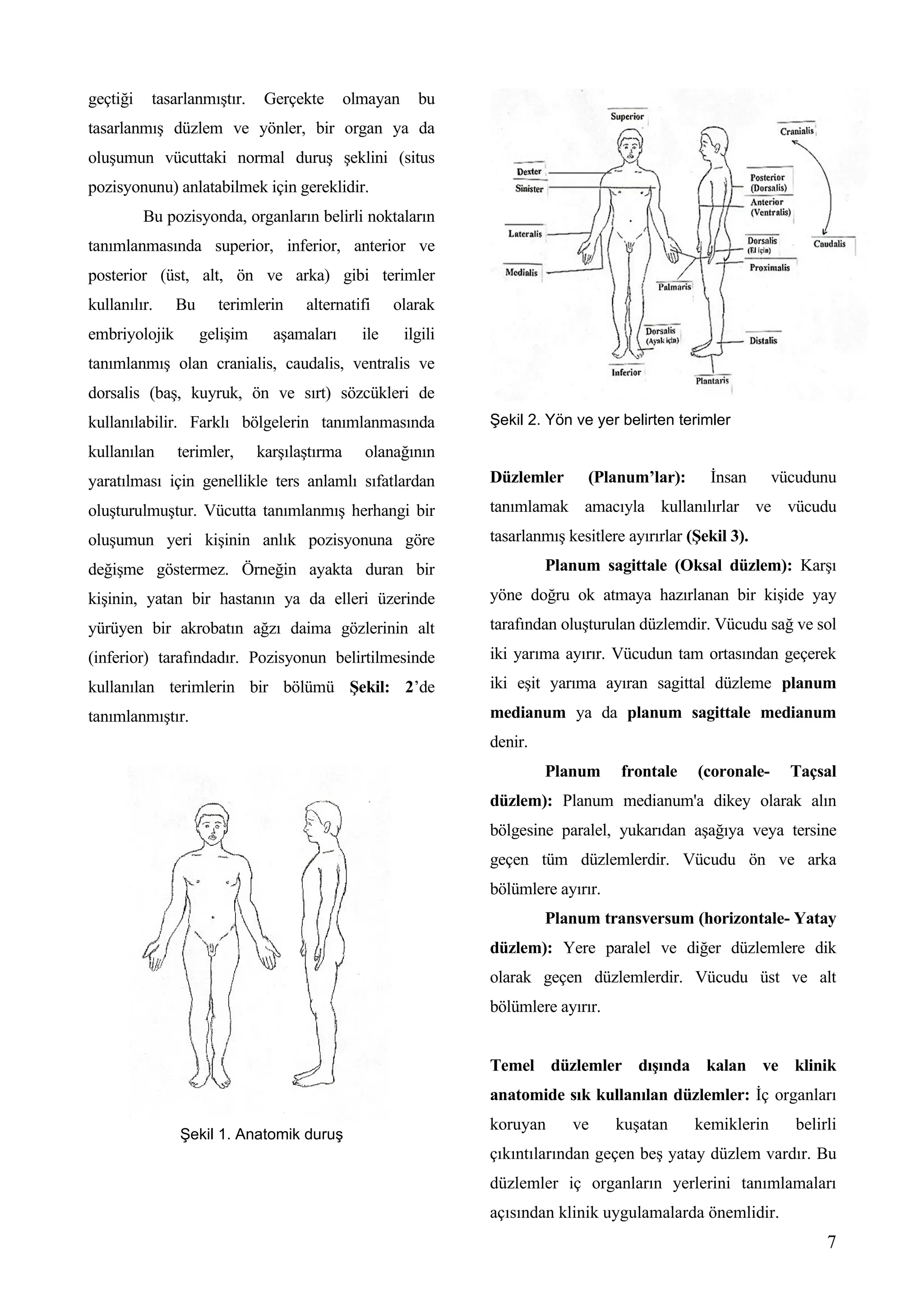 Anatomiye giris ve temel kavramlar | DOC