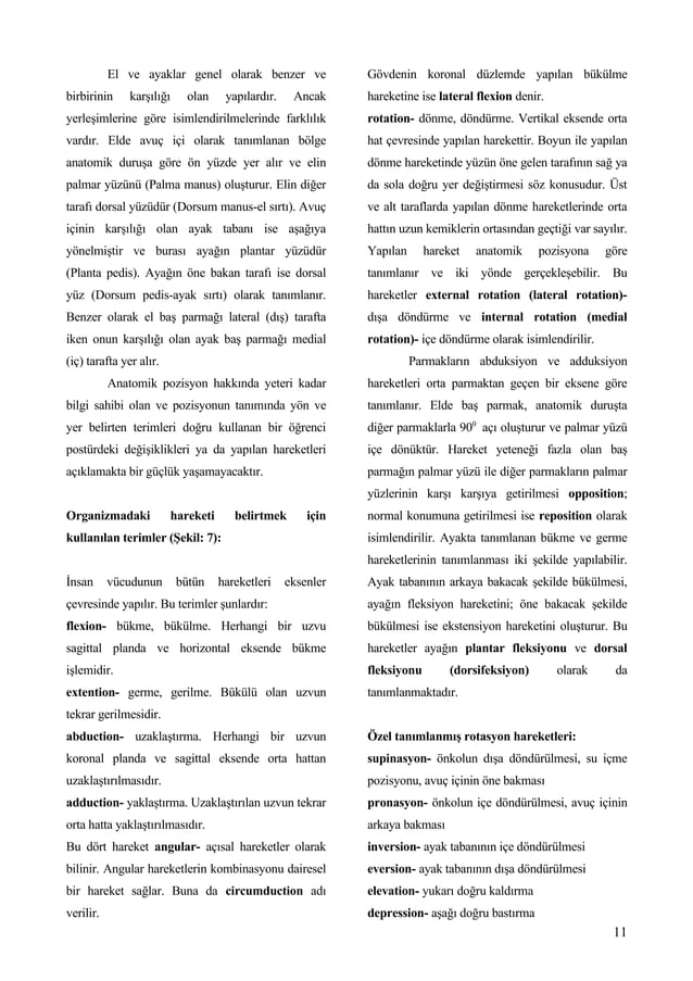 Anatomiye giris ve temel kavramlar | DOC