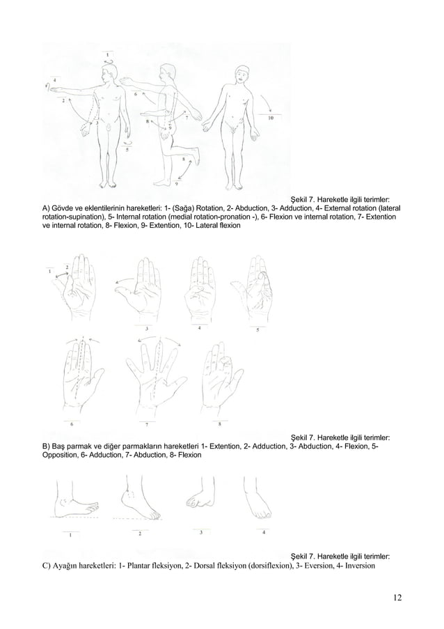 Anatomiye giris ve temel kavramlar | DOC