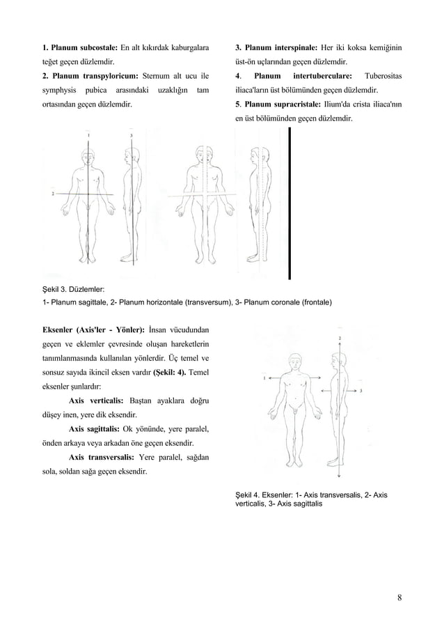 Anatomiye giris ve temel kavramlar | DOC