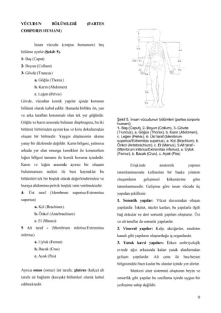 Anatomiye giris ve temel kavramlar | DOC