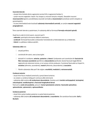 Anatomie: Măduva Spinării | RTF