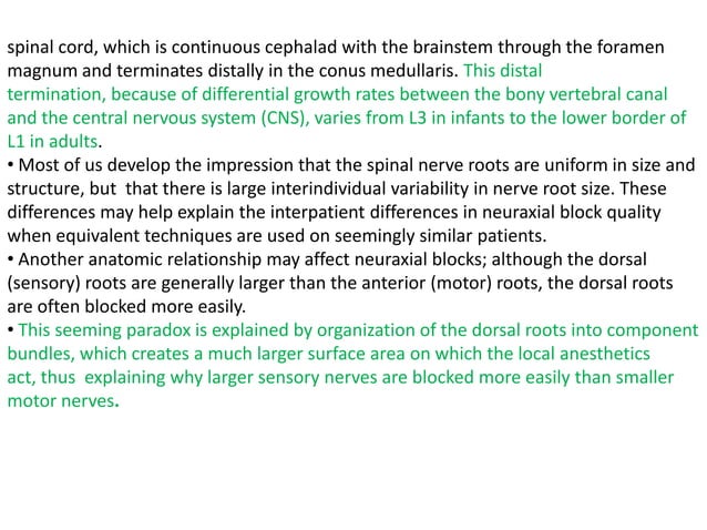 Anatommy and physiology of cnb | PPT