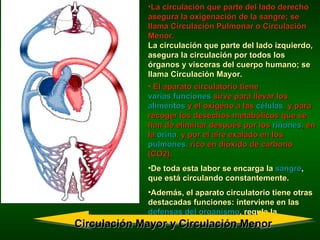 Anatomofisiología del sistema circulatorio | PPT