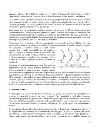 Anatomofisiologia[1] | PDF