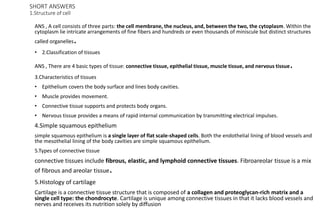 ANATOMY- structure and function of the cells | PPTX