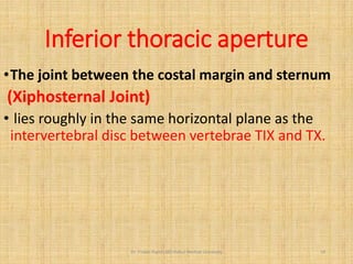 Anatomy -Grays anatomy_thoracic part for medical students | PDF