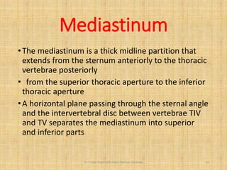Anatomy -Grays anatomy_thoracic part for medical students | PDF