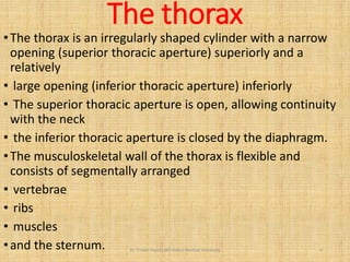 Anatomy -Grays anatomy_thoracic part for medical students | PDF