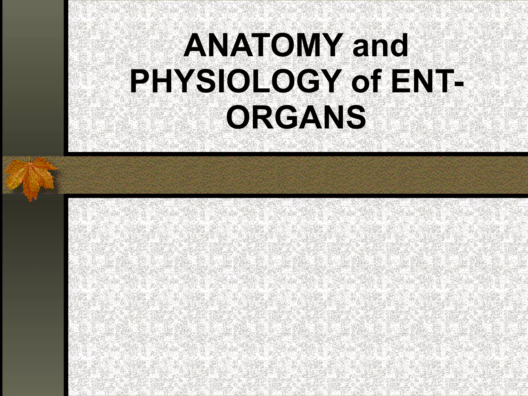 Anatomy and physiology of ENT organs | PPT