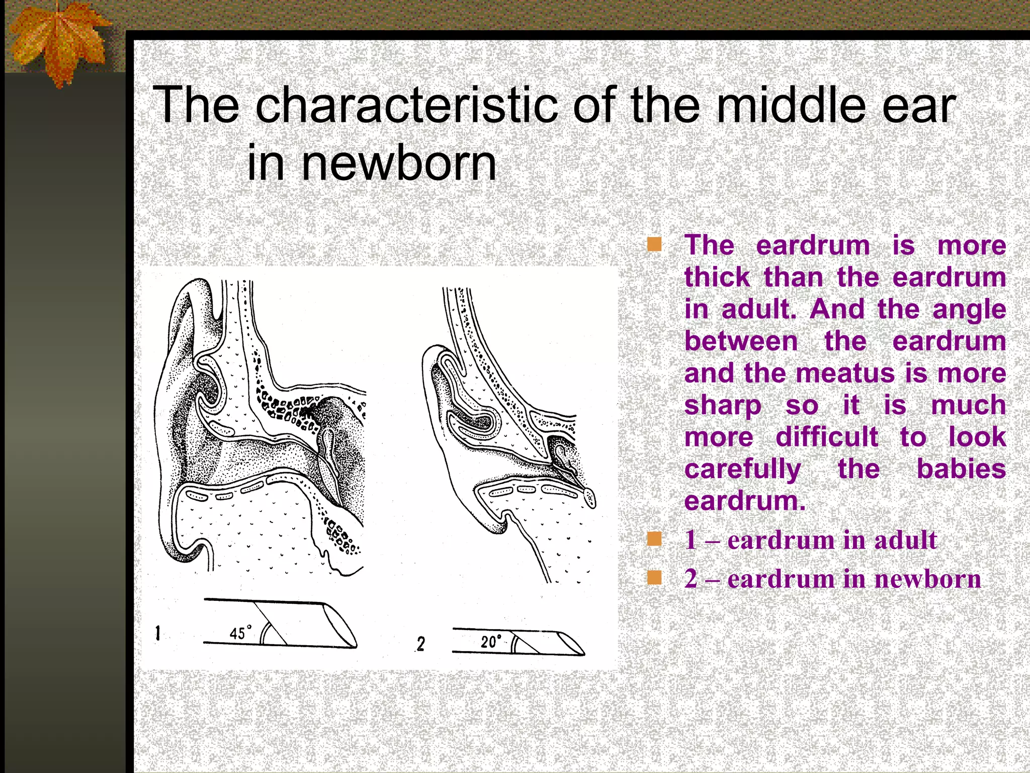 Anatomy and physiology of ENT organs | PPT
