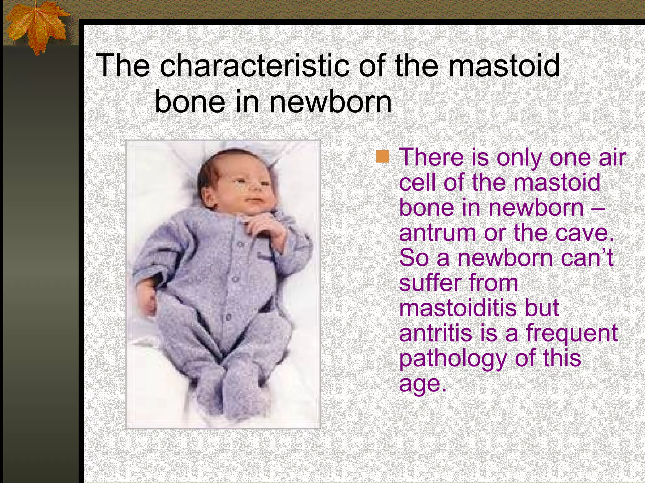 Anatomy and physiology of ENT organs | PPT