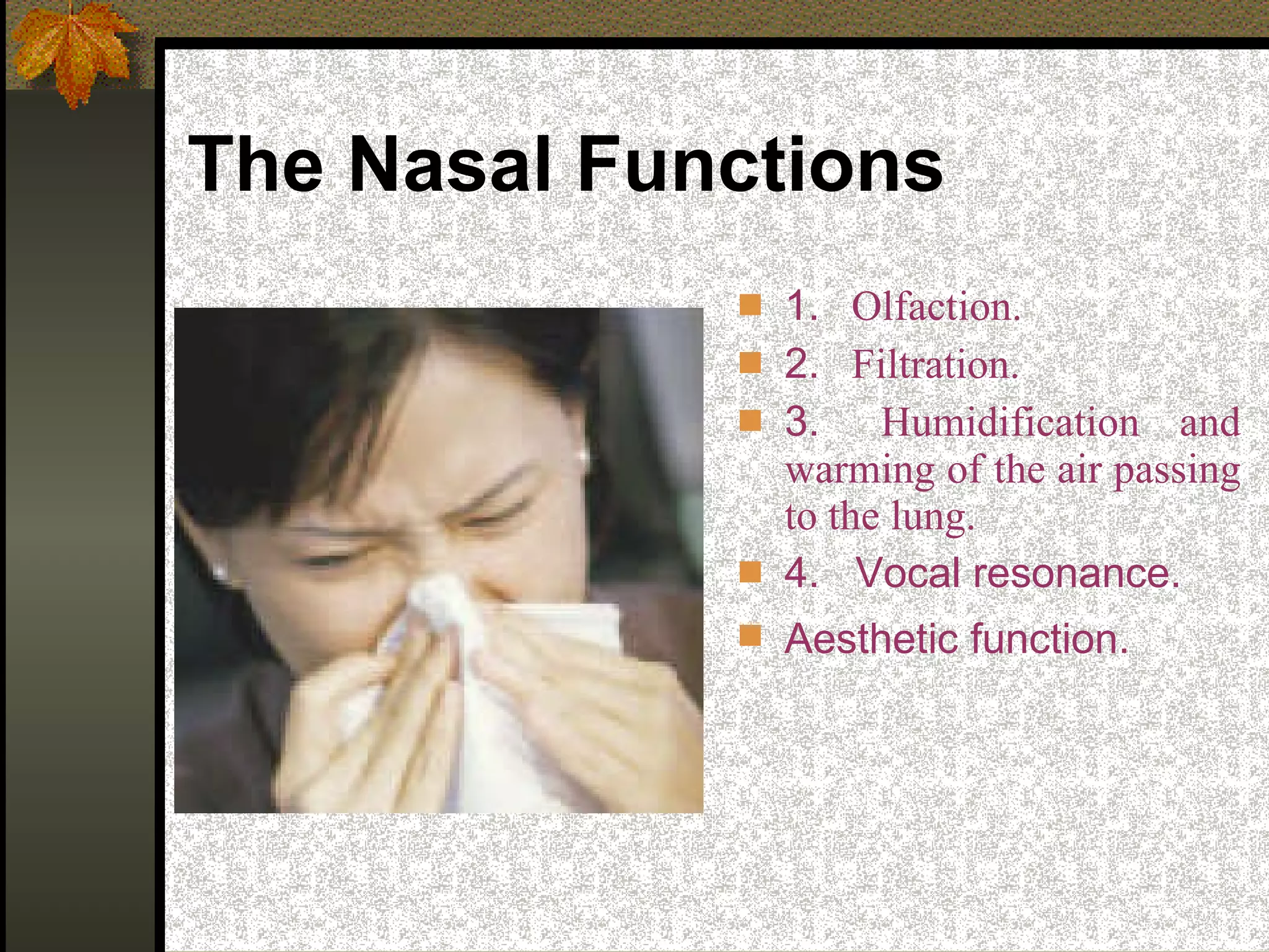 Anatomy and physiology of ENT organs | PPT