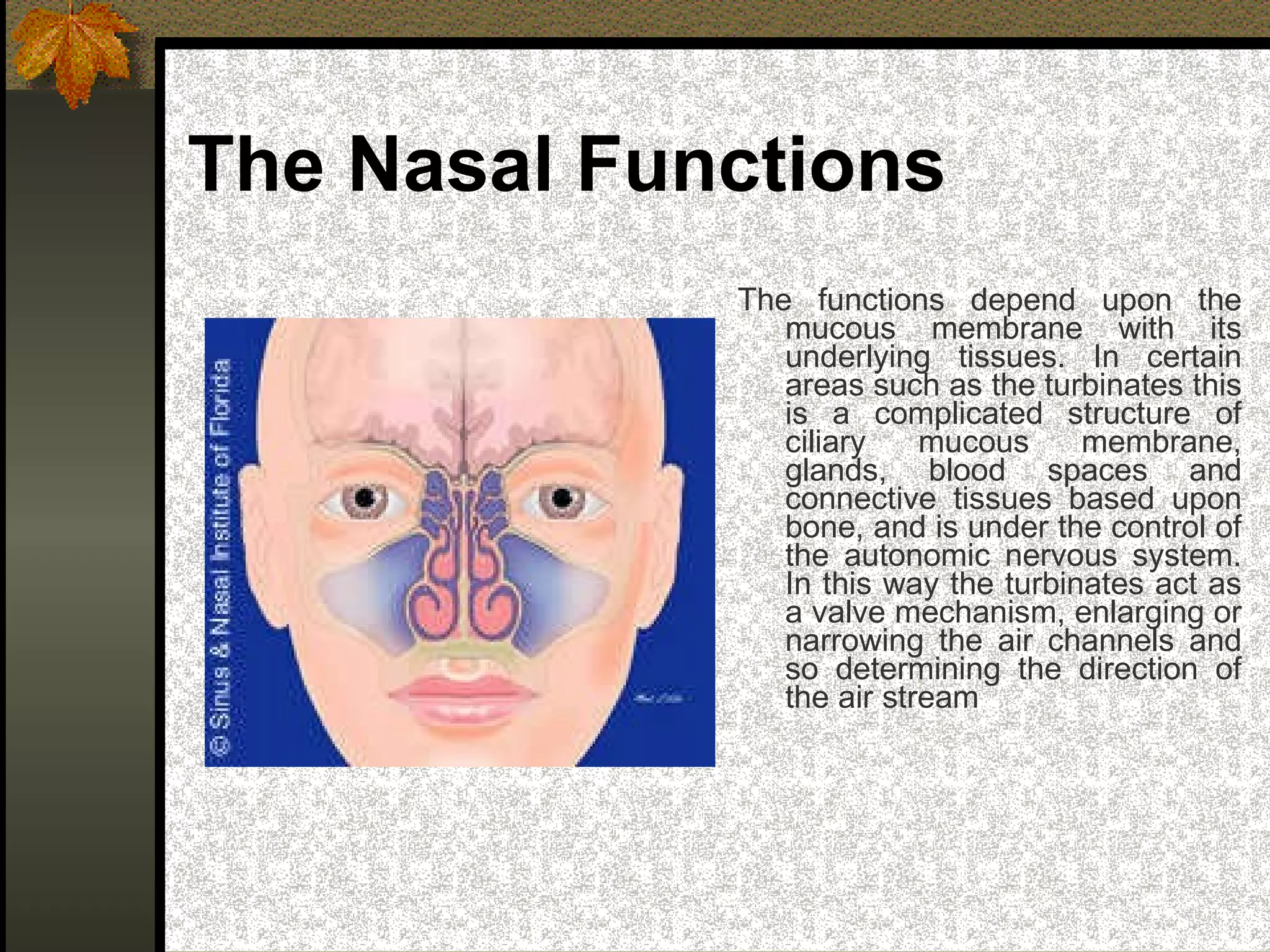 Anatomy and physiology of ENT organs | PPT