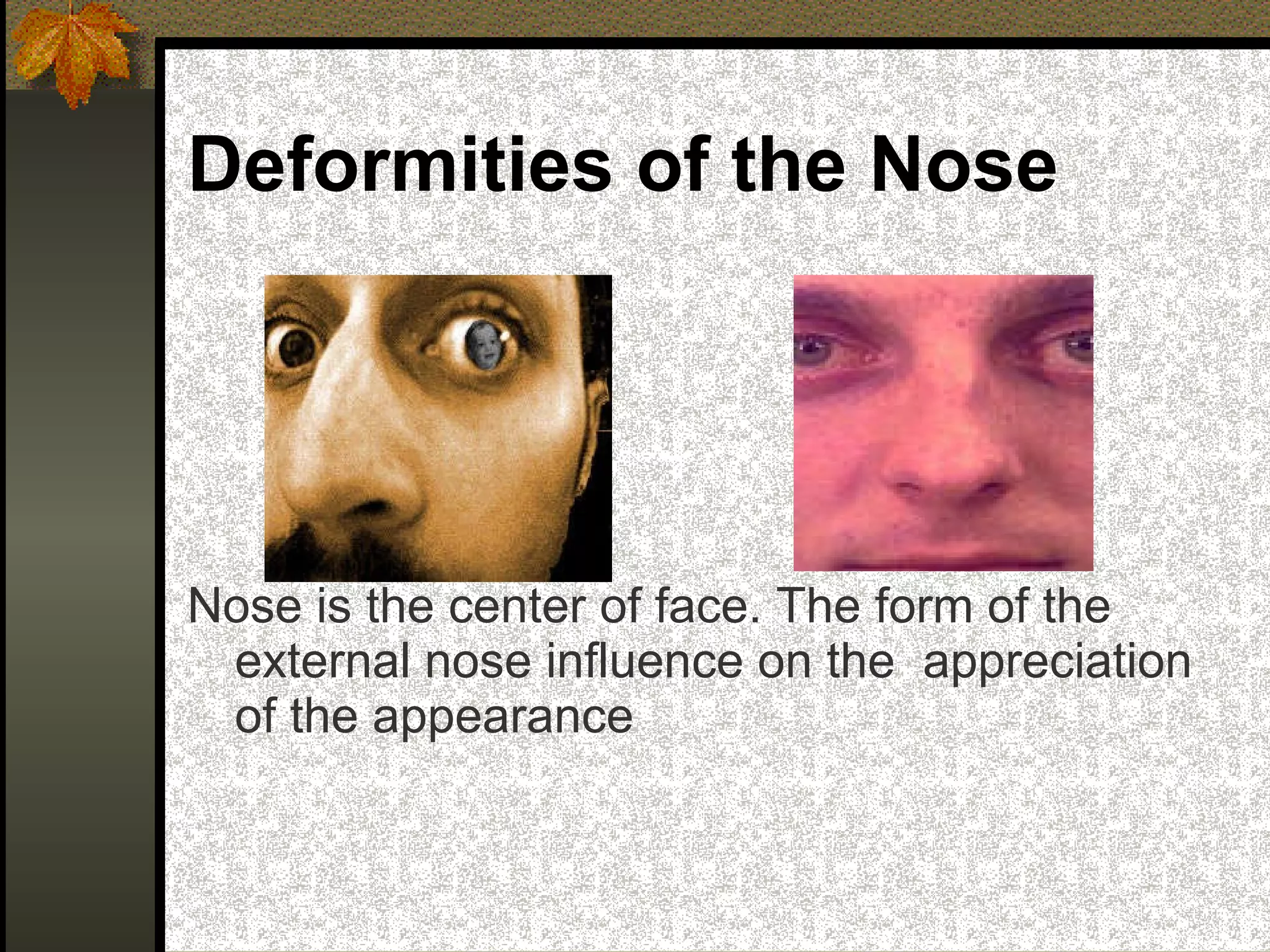 Anatomy and physiology of ENT organs | PPT