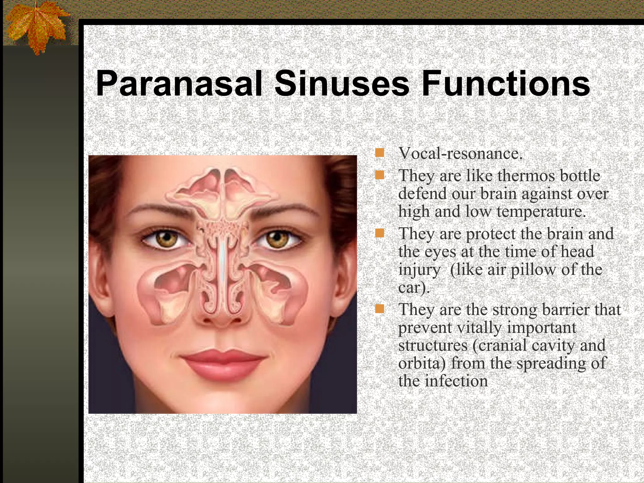 Anatomy and physiology of ENT organs | PPT
