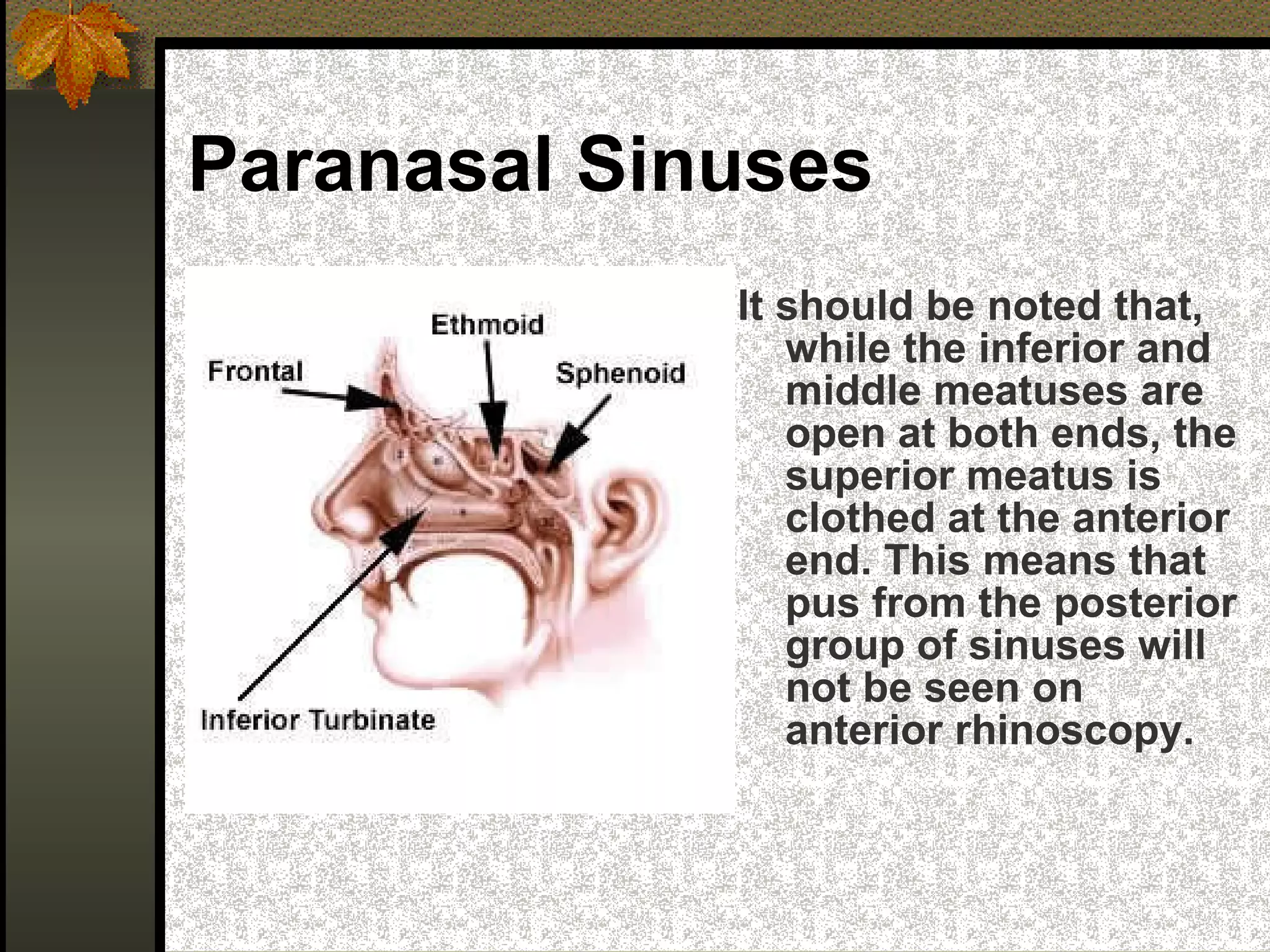 Anatomy and physiology of ENT organs | PPT
