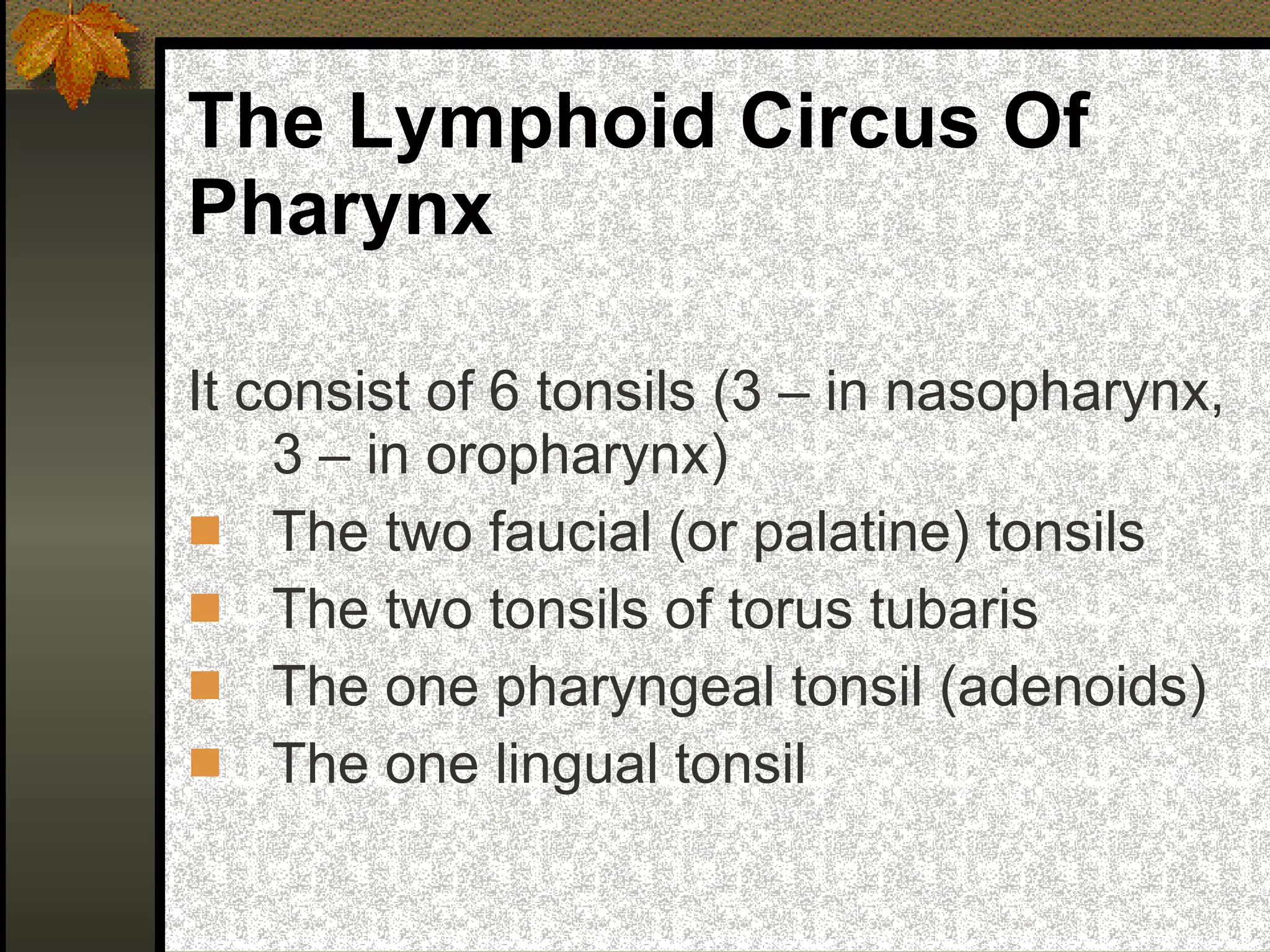 Anatomy and physiology of ENT organs | PPT