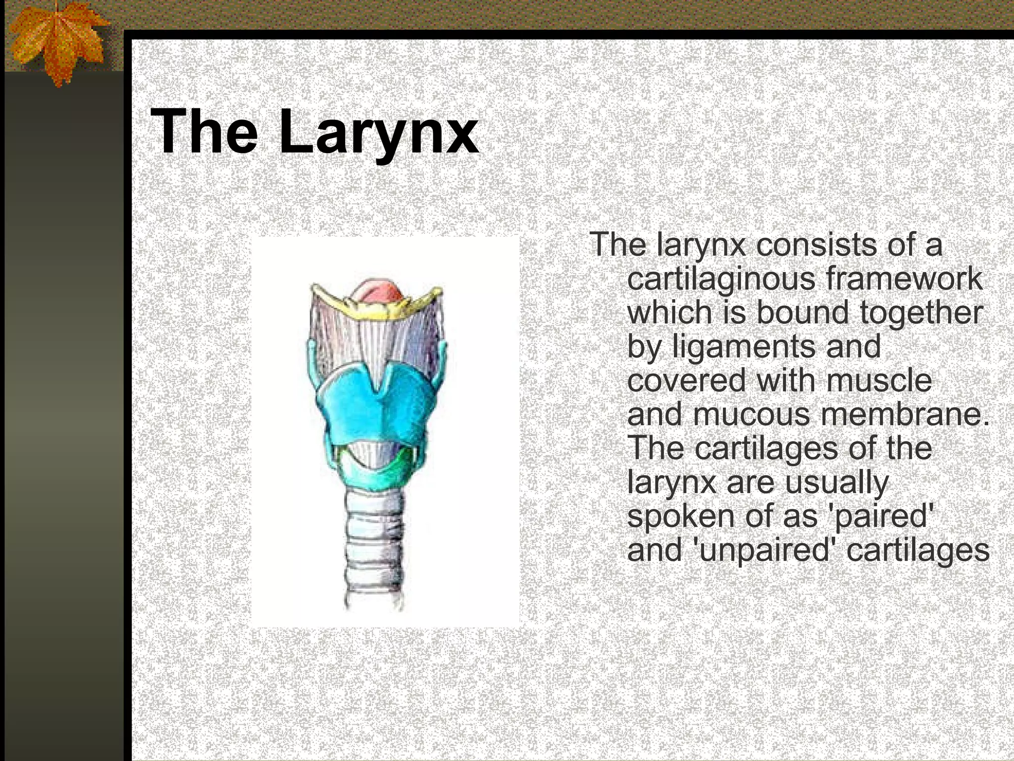 Anatomy and physiology of ENT organs | PPT